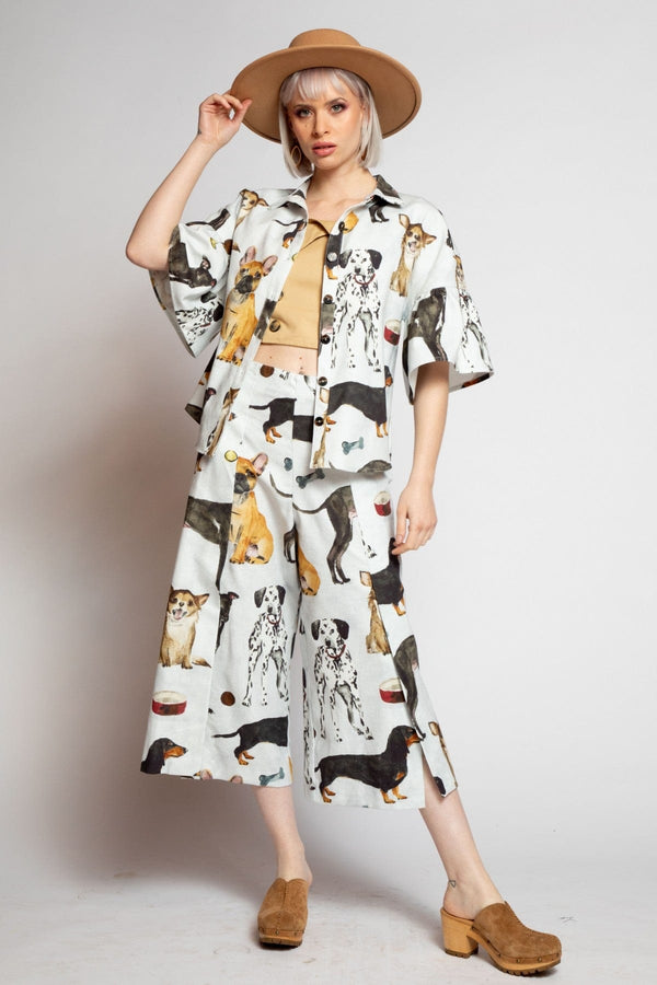 Stylish Women Trendy Pants Online – Eva Franco