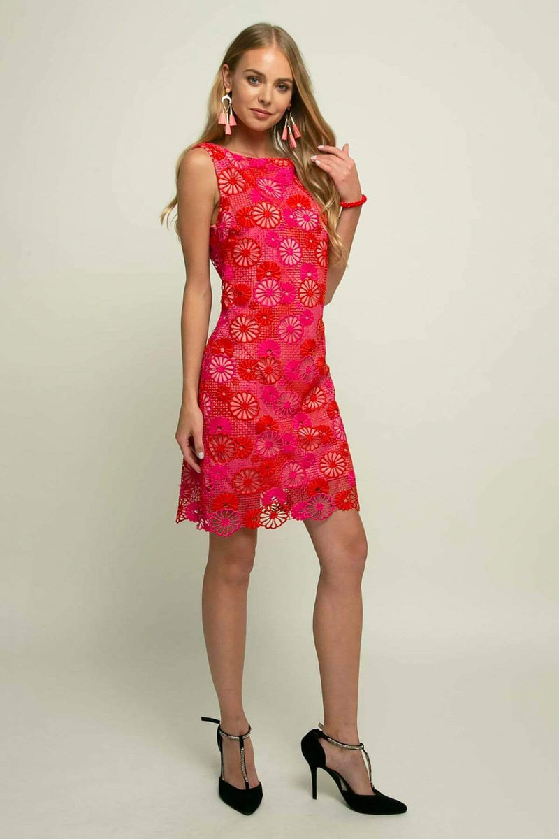 Twiggy Dress - Strawberry Shortcake – Eva Franco